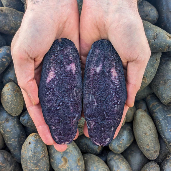 New | Valley Fresh Harvest